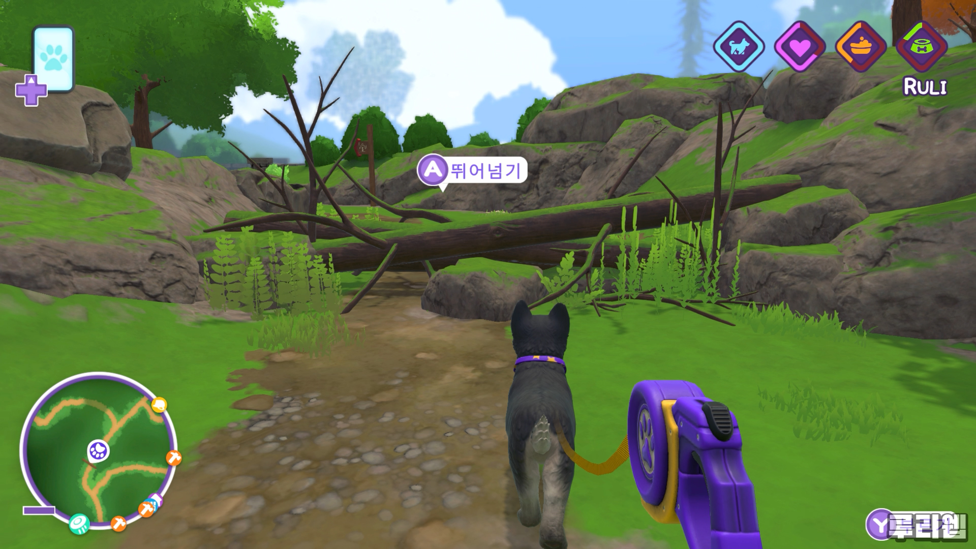 '리틀 프렌즈: 퍼피 아일랜드' 한국어판 플레이 동영상